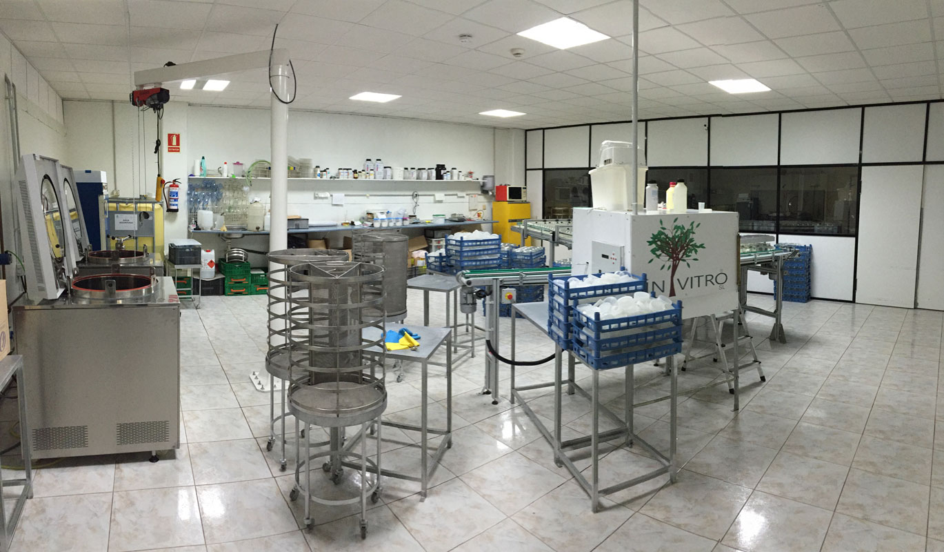 InVitro - IN VITRO GALLERY